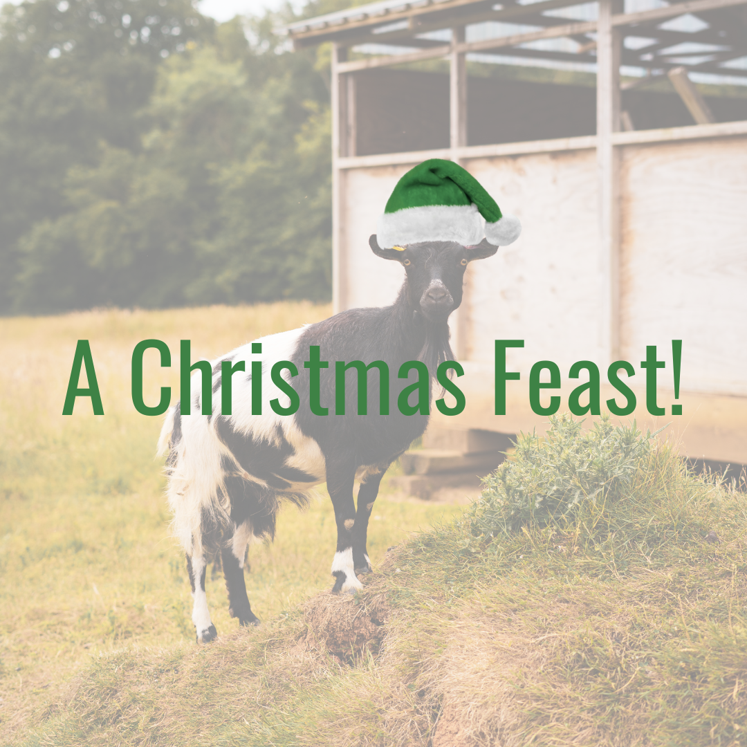Feed The Family This Christmas – Nelly's Farm