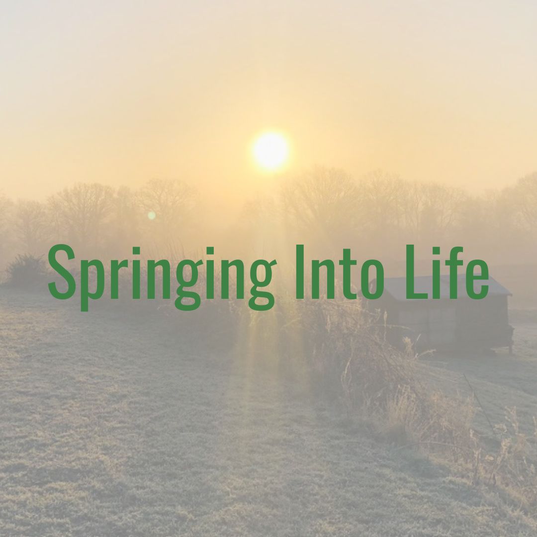 With Better Weather We’re Marching Into Spring – Nelly's Farm